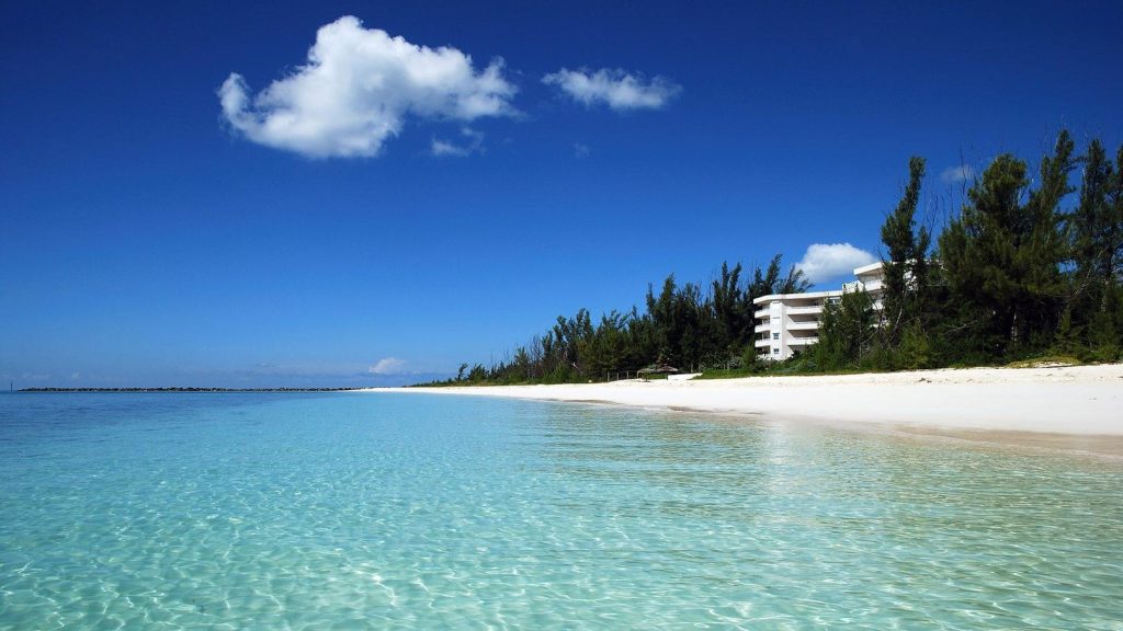 Destinasi Wisata Menyelam Populer di Bimini Bahama