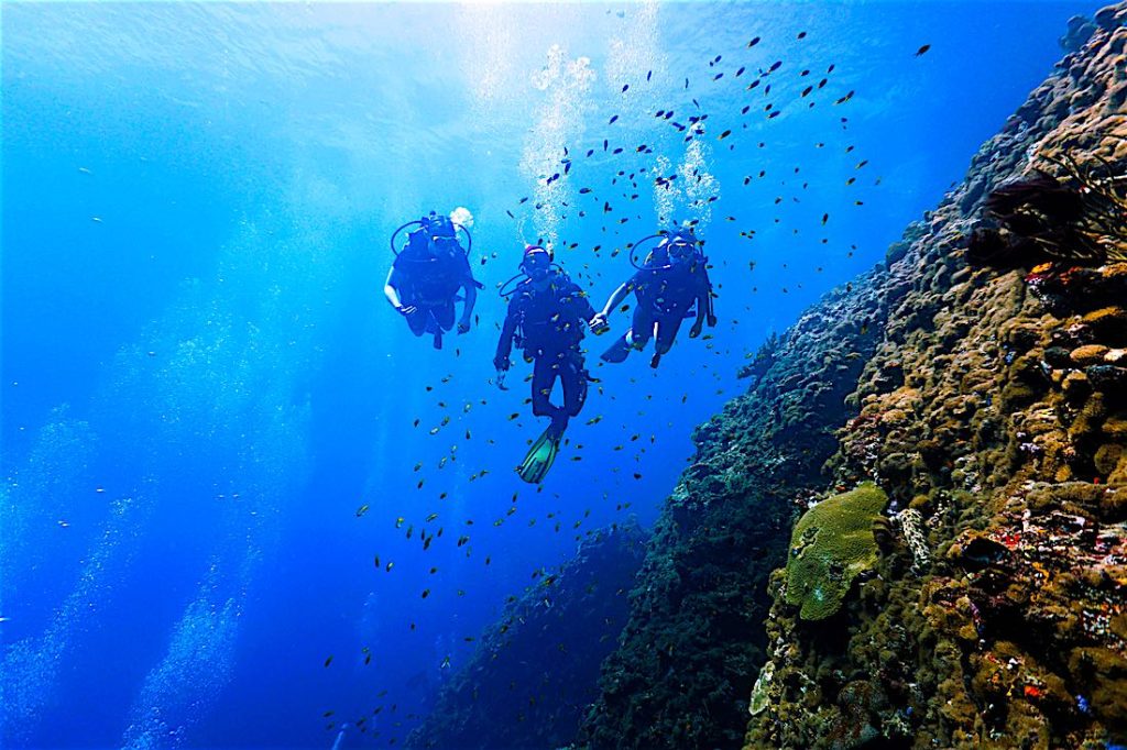 Some Great Spots to Explore in Bimini